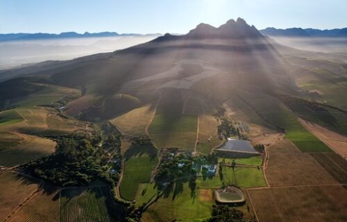 Uitkyk sold - winemag