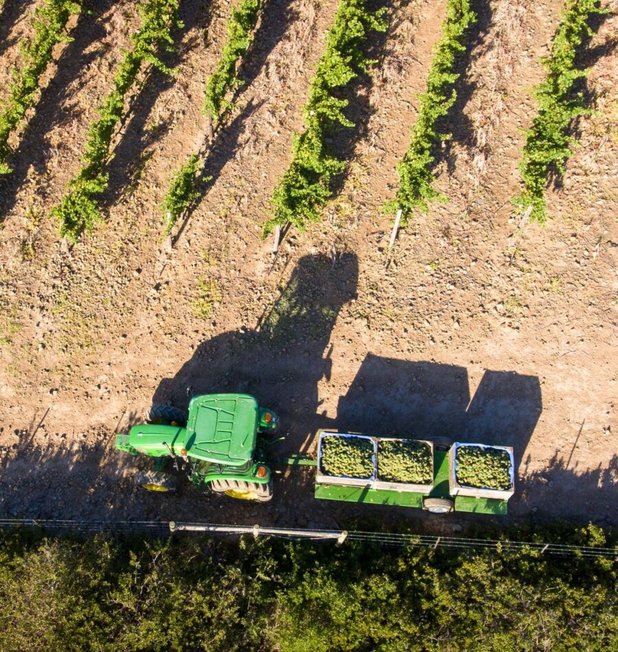 10 examples of SA Sauvignon Blanc you have to try - winemag