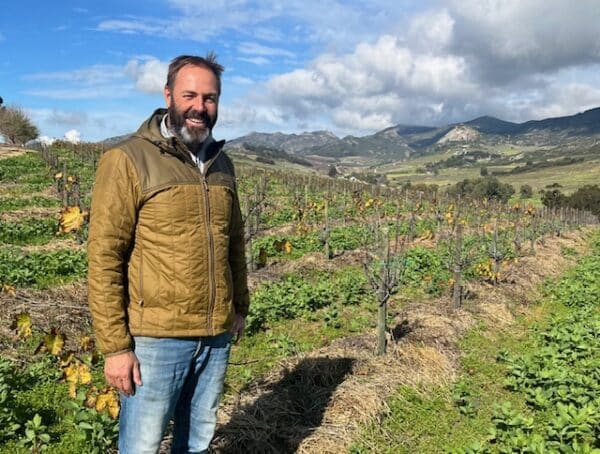 Tim James: Young vines, new Sadie wines - winemag